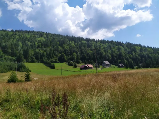 Vila Anđelija - Mitrovac na Tari, Tara - Cene i rezervacije